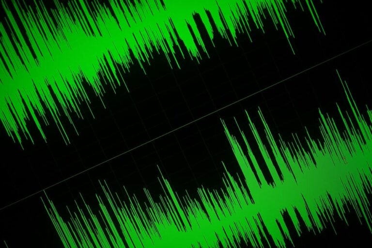 Why does the voice sound different from the recording? | HÖRST